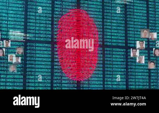 Animation Of Biometric Fingerprint Data Processing And Network Of