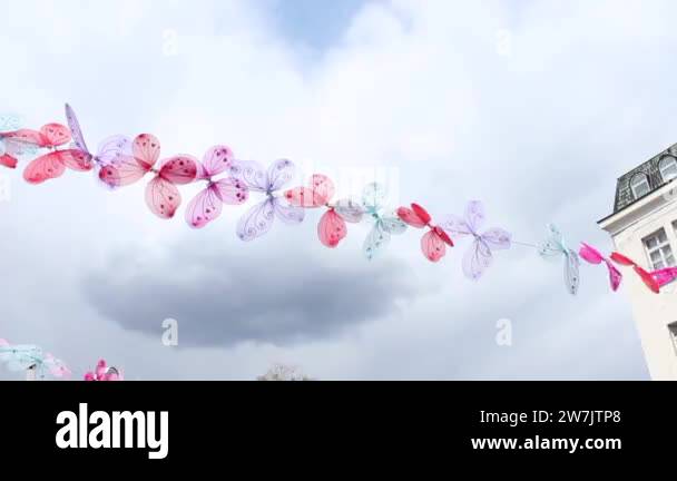 Insect warning colors Stock Videos & Footage - HD and 4K Video Clips ...