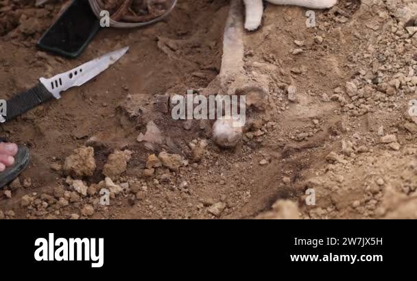 Archaeological excavations, Work of the search team at the site of a ...