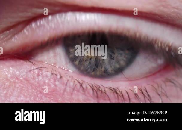 Dark green veins Stock Videos & Footage - HD and 4K Video Clips - Alamy