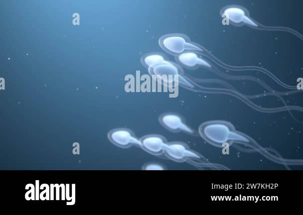 Reproduction of human cells Stock Videos & Footage - HD and 4K Video Clips - Alamy