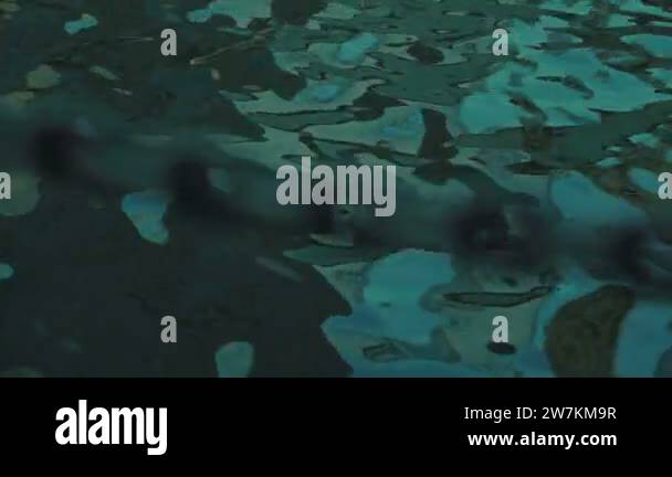 Unity system Stock Videos & Footage - HD and 4K Video Clips - Alamy