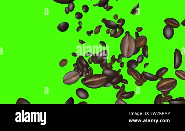 coffee beans falling 3d animation , green screen chroma key Stock Video ...
