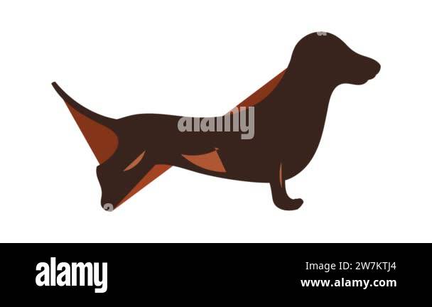 Adorable dachshund icon cartoon Stock Videos & Footage - HD and 4K Video Clips - Alamy