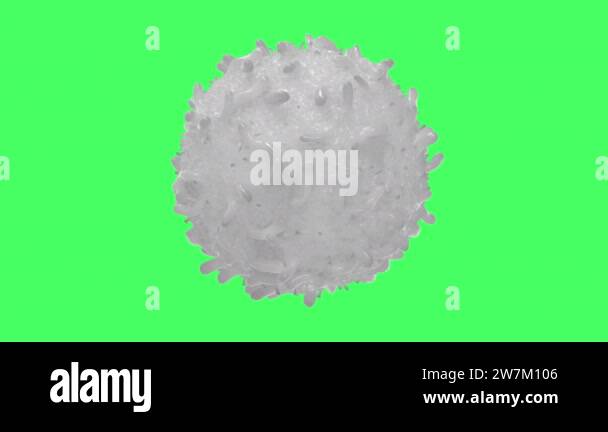 white blood cell on green screen Stock Video Footage - Alamy