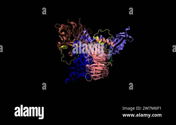 Crystal structure of histone acetyltransferase complex; histone H4 ...