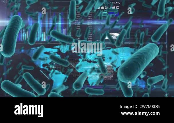 Animation of bacteria cells over data processing on interface. global ...