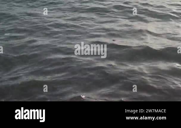 Plastic pollution in ocean. Dirty sea pollution, a lot of trash in ...