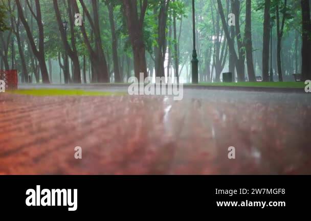 Rain water drop falling to floor rainy Stock Videos & Footage - HD and ...