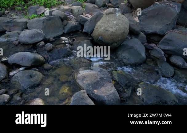 Riverside riverside riverside riverside flow Stock Videos & Footage ...