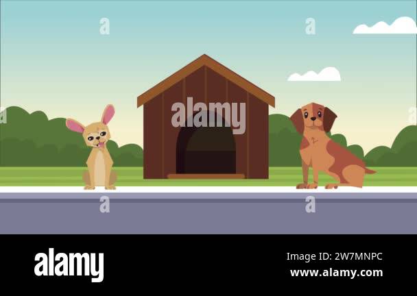 Cartoon illustration two dogs Stock Videos & Footage - HD and 4K Video ...