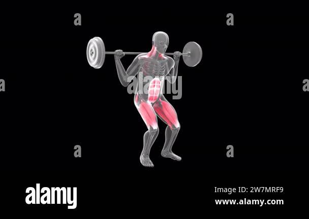 Parallel positions Stock Videos & Footage - HD and 4K Video Clips - Alamy