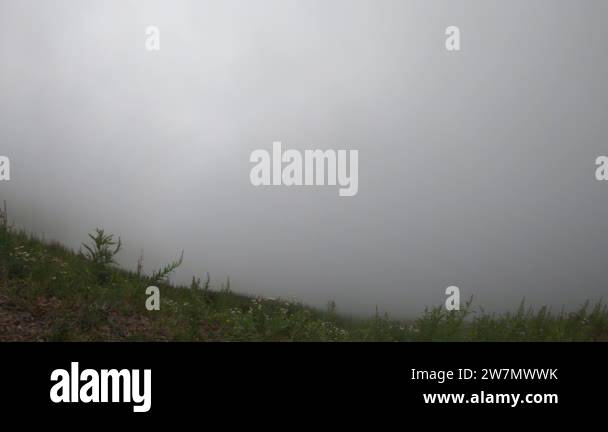 mountain slope in dense fog, grass and cloudy empty space background, day Stock Video Footage ...