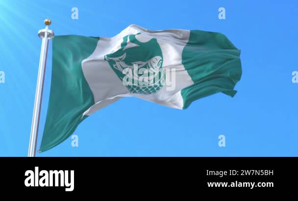 Canadian indigenous emblem Stock Videos & Footage - HD and 4K Video ...