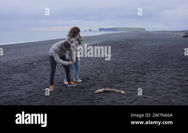 Beautiful skeleton Stock Videos & Footage - HD and 4K Video Clips - Alamy