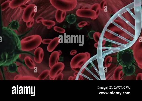 Digital animation of dna structure spinning over multiple covid-19 ...