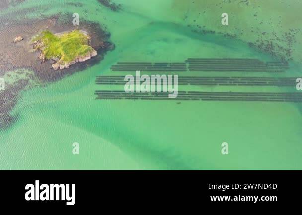 Donegal farm Stock Videos & Footage - HD and 4K Video Clips - Alamy