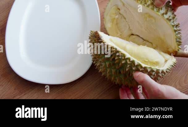 Gardener man cut open durian, open flesh of yummy organic yellow yummy ...