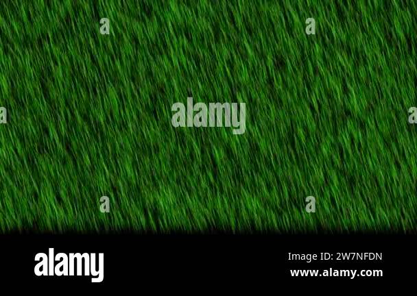 Wavy grass Stock Videos & Footage - HD and 4K Video Clips - Alamy