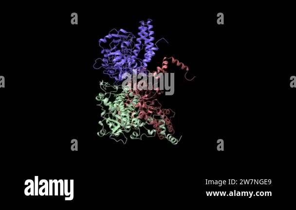 Structure of human bleomycin hydrolase, animated 3D Gaussian surface ...