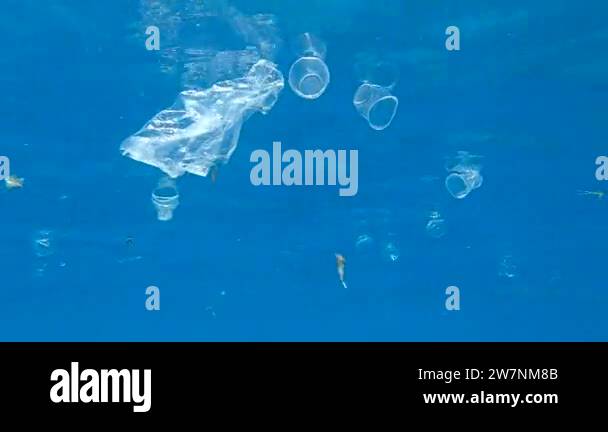 A lot of plastic trash floats by water reflecting from its surface ...