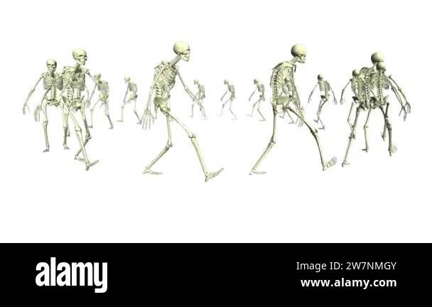 Skeleton marching in a circle. Animation footage. 3D animation of ...