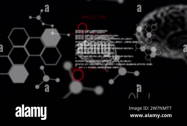 Animation of data processing, human brains and dna strand spinning over biometric fingerprint ...