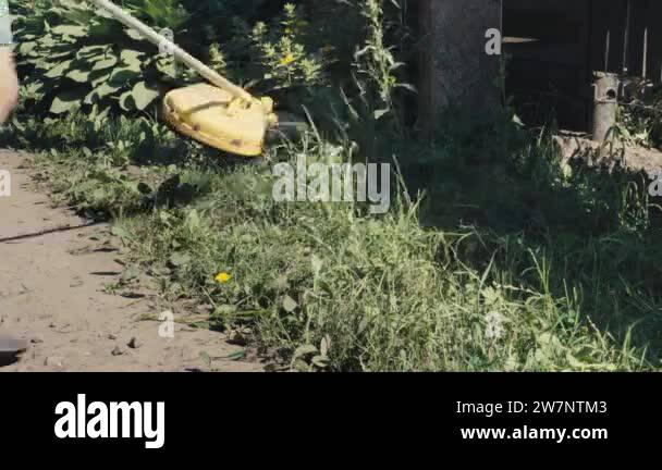 Brushcutter head Stock Videos & Footage - HD and 4K Video Clips - Alamy