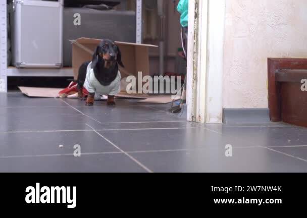 Home made boxes Stock Videos & Footage - HD and 4K Video Clips - Alamy