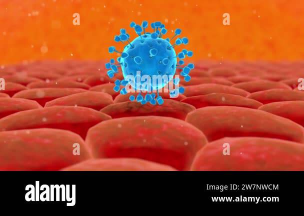 Virus, bacteria, infection inside organism view. Process of infection ...