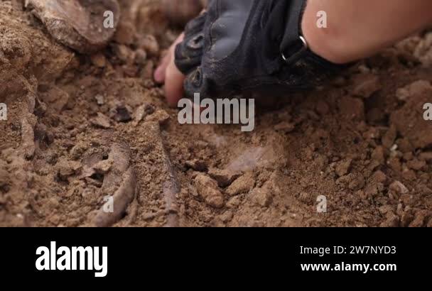 Archaeological excavations, Work of the search team at the site of a ...