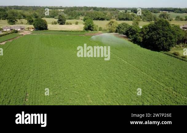 Faint bloom Stock Videos & Footage - HD and 4K Video Clips - Alamy
