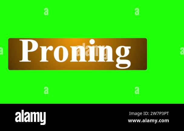Animated simple and clean lower third with written Proning Or Prone ...