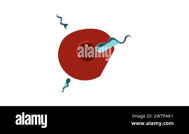 Icon ovulation egg Stock Videos & Footage - HD and 4K Video Clips - Alamy