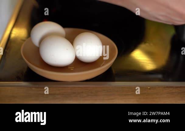 Lay out eggs Stock Videos & Footage - HD and 4K Video Clips - Alamy