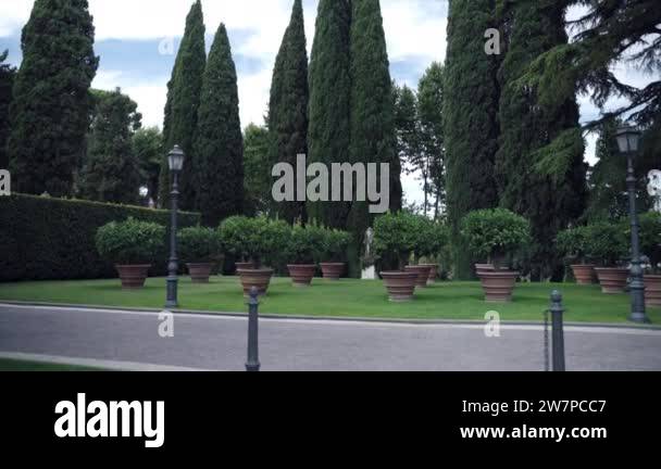 Majestic evergreen cypress trees on sky background and huge brick vases ...