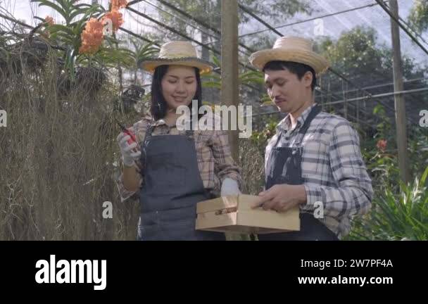 Young smiling farmer pruning cutting orchids flowers with pruning ...