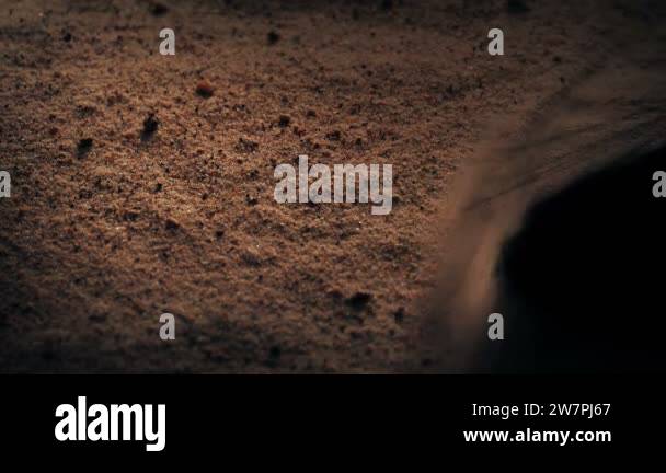 Archaeologist digging egypt Stock Videos & Footage - HD and 4K Video ...