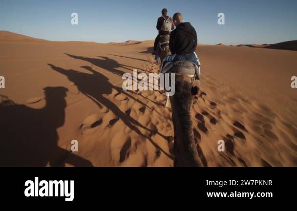 Camel train walking in that desert Stock Videos & Footage - HD and 4K ...