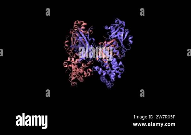 Structure of diphtheria toxin dimer, animated 3D cartoon and Gaussian ...