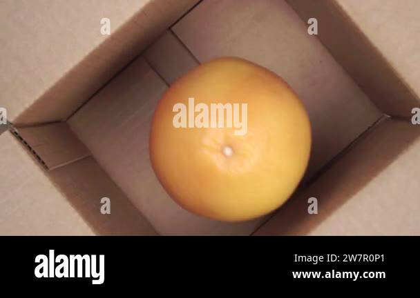 Top view fresh pomelo Stock Videos & Footage - HD and 4K Video Clips ...