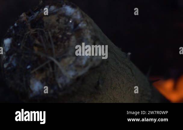 Tar container Stock Videos & Footage - HD and 4K Video Clips - Alamy