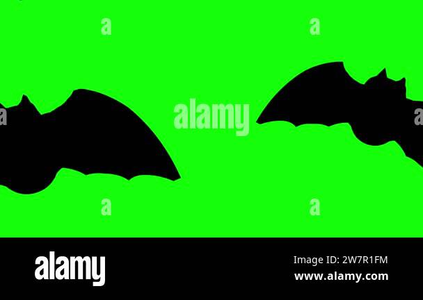 Halloween motif 4K animation movie | flying bats ( green background for ...