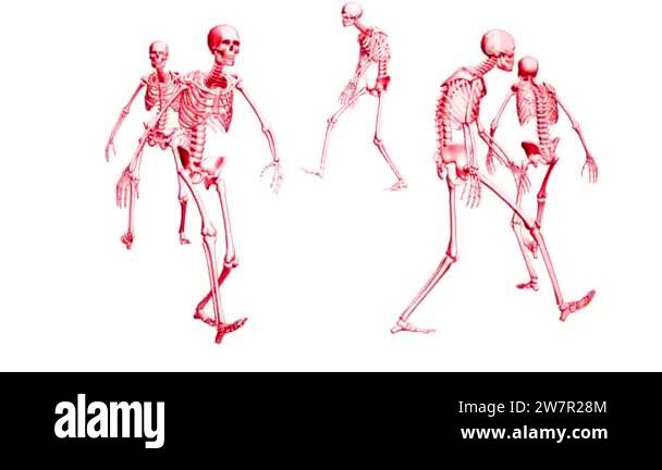 Skeleton marching in a circle. Animation footage. 3D animation of ...