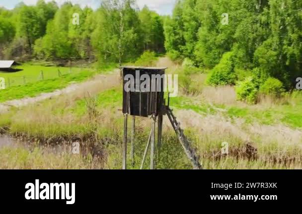 Hunters hunting in rural Stock Videos & Footage - HD and 4K Video Clips ...