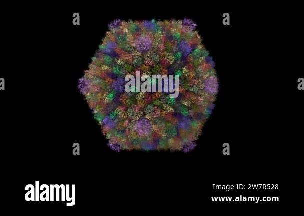Structure of the Sputnik virophage, animated 3D cartoon and Gaussian ...