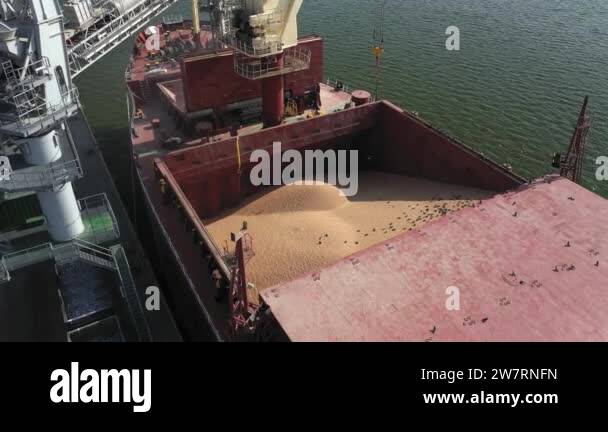loading grain onto a cargo ship for sea transport using a conveyor ...