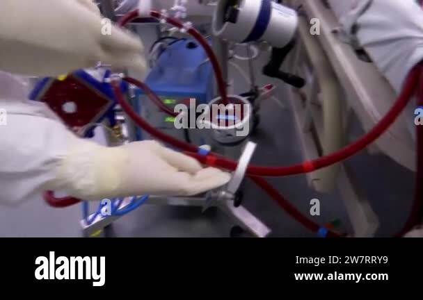 Blood cardiac Stock Videos & Footage - HD and 4K Video Clips - Alamy