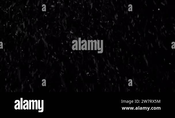 Falling white snow on a black background, realistic in 4K resolution ...