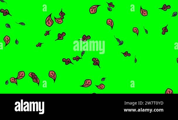 Cartoon leaves falling down on green screen background. 4K animation ...